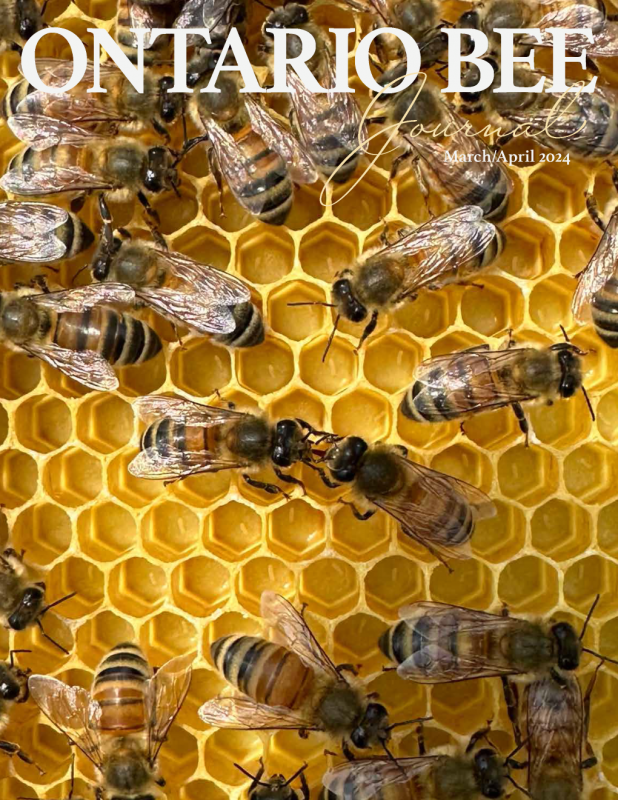 Welcome | Ontario Beekeepers’ Association