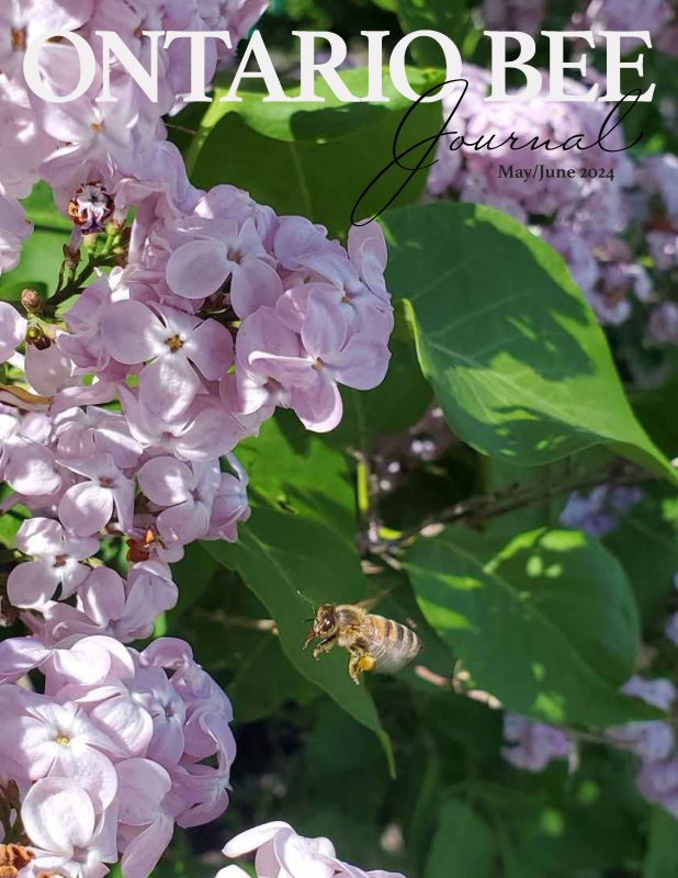 Welcome | Ontario Beekeepers’ Association